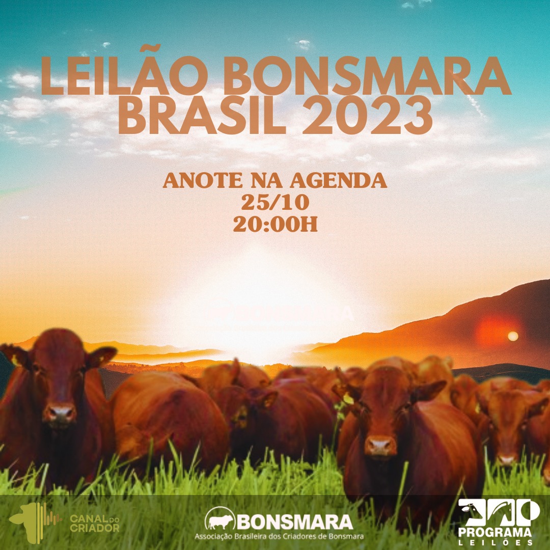 Associação Brasileira dos Criadores de Bonsmara